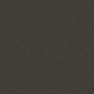 Lexicon Schuyler Power Double Reclining Loveseat, Grayish Brown