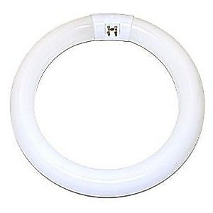 SYLVANIA (20148) FC8T9/CW/RS 22W T9 Circline Lamp 4200K Cool White