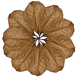 SunGrow Leaf Litter for Snakes, 10 Pcs Medium Indian Almond Catappa Leaves Substrate Maintain Humidity in Corn Snake and Ball Python Terrarium, 7-8 Inches, Reptile Tank Decor Accessories