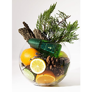 Pino Silvestre Original By Pino Silvestre For Men - A Men's Eau De Toilette Cologne Perfume Spray With A Million Dollar Fragrance - An Extreme Pheromone For The Classic Man In Your Life - 4.2 Oz