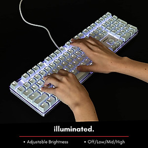Macally Backlit Mechanical Keyboard for Mac - Quality You Can Feel - Classic Mac Mechanical Keyboard with Brown Switches for Comfortable Typing - 104 Key Apple Keyboard Wired USB with Weighted Base