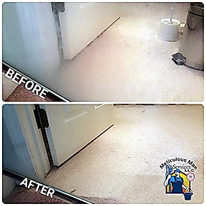 Bring It On Cleaner Hard Water Stain Remover - Shower Door, Windows, Fiberglass, Tubs, Chrome Tile & Grout Cleaner 4 Ounce (3 Pack)