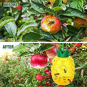 Wasp Trap 2 Pack, Trap Yellow Jacket, Hornets Naturally