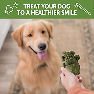 WHIMZEES by Wellness Alligator Natural Dental Chews for Dogs, Long Lasting Treats, Grain-Free, Freshens Breath, Large Breed, 6 count