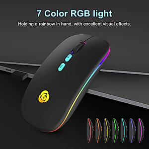 CC Store LED Wireless Bluetooth Mouse &2.4GHz Instant Connection,Rechargeable Ultra Silent Slim,3 Adjustable DPI 2 Connection Modes with USB-C to USB Adapter for Laptop/MacBook/PC/Tablet/iPad (Black)