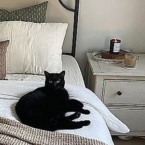 FLAMME Candle Co. Fleur | Peony & Blush Suede Scent | 10 oz | 60 Hour Burn Time | Luxury Candle with Colored Wax | All Natural Soy