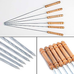 HAKSEN 12 PCS Barbecue Skewers with Wood Handle Marshmallow Roasting Sticks Meat Hot Dog Fork Best for BBQ Camping Cookware Campfire Grill Cooking, Stainless Steel,12 Inches(Including Handle)