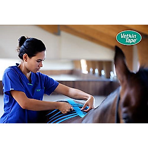 VetkinTape Displaybox | Equine & Canine Kinesiology Tape | Kinesiology Tape for Veterinary Purposes | 10 Uncut Rolls 2.4" X 16' | Available Colors: Black, Blue, Red, Orange, Lime & Pink (Lime)