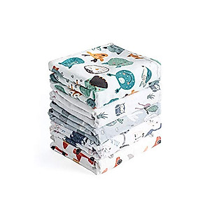 Hofasiii Unisex Boy Girl Lightweight Comfortable Super Soft Plush Minky Baby Blanket in 30’’x40’’ ,Newborn Receiving Baby Cat Blankets with Dotted Backing