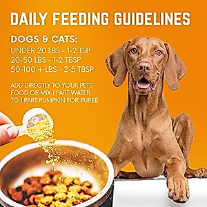 BACK 40 Dogs Pumpkin Powder for Dogs, Powdered Pumpkin for Dogs with Vitamins A, C & E, Fiber-Rich Vitamins for Optimal Pet Health, Combat Constipation, Dog Multivitamin for Digestive Health, 8.1 oz