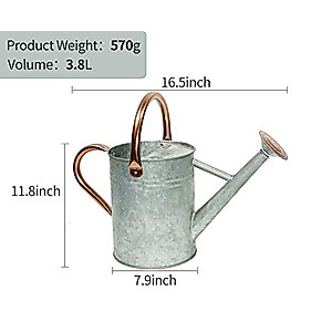 Metal Watering Can, One Gallon Watering Cans Stainless Steel Handle for Outdoor Indoor Garden Plants Watering (1 Gallon Silvers)