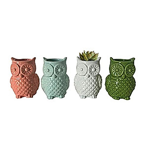 First of a Kind Owl Shaped Vases (Set of 4) - Ceramic Owl Succulent Planter Pots - Owls Gifts for Women - Owl Decor Vase - Farmhouse Stoneware Vases for Home Decor & Garden Gift