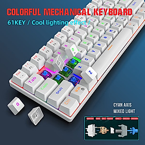 Snpurdiri Wired 60% Mechanical Gaming Keyboard, Blue Switch Anti-Ghosting 61 Key Keyboard with RGB Backlit and Double Foot, Ultra-Compact White