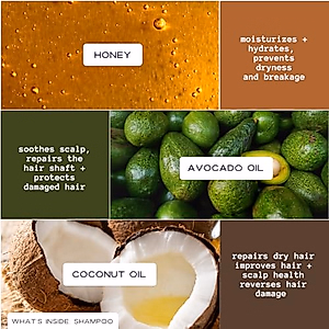 YOUNG KING HAIR CARE Kids Shampoo For Boys | Cleanse and Hydrate Natural Curls | Plant-Based and Harm-Free | 8oz