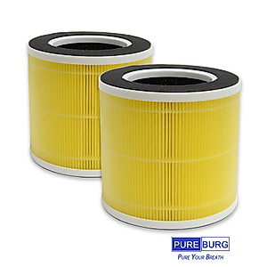 PUREBURG RP-AP089 Replacement Filter Compatible with RENPHO RP-AP089-F1 Fits RP-AP089W RP-AP089B Air Purifiers,2-Pack H13 HEPA Activated Carbon 2-IN-1