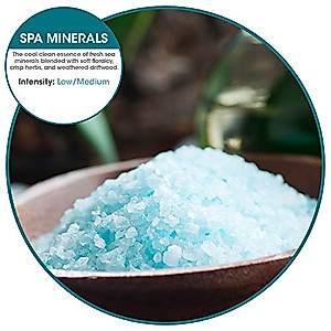 Fresh Products ourfresh Dry Fragrance Refills, Replace Metered Aerosol, 30-Day Use, Medium Sized Spaces, Powerful Fragrance, Free Batteries Included — Spa Minerals, 8pk