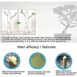 Anshka Plant Restoring Regrowth Sealant, Bonsai Tree Wound Paste, Tree Wound Bonsai Cut Paste, Smear Agent Pruning Compound Sealer with Brus (1pcs)