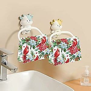 JSTEL Christms Bird Kitchen Dish Towels for Drying Dishes,Microfiber Hand Towel 6 Pack Kitchen Dishcloths Xmas Dish Towels