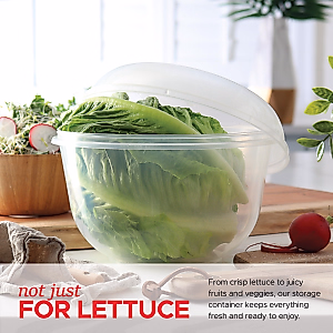 Tafura Lettuce Keeper for Fridge, Lettuce Crisper, Vegetable Saver with Cover, Lettuce Storage Container with Lid, Crisp and Fresh Greensaver, Salad Saver Box.