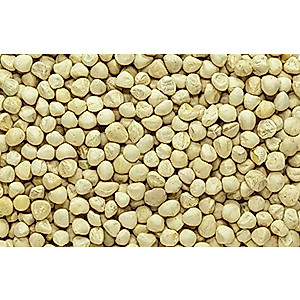 Moringa Seeds Kernel Shelled 16 oz. / 1 lb. - Clean PKM1 Variety - Edible - Moringa Oleifera - Malunggay - Semillas De Moringa - Drumstick Tree - Non-GMO - 2000 to 2400 Seeds Approx.