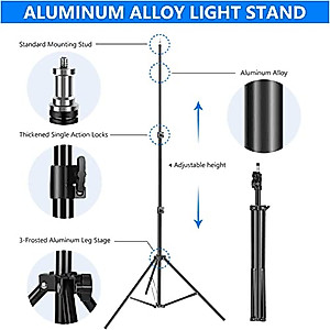 Neewer 2-Pack 2.4GHz LED Softbox Lighting Kit with Color Filter — 20” × 28” Softbox, 3200–5600K 48W Dimmable LED Light Head, 2.4GHz Remote, Light Stand & Red/Yellow/Blue Filter for Photo Studio Video