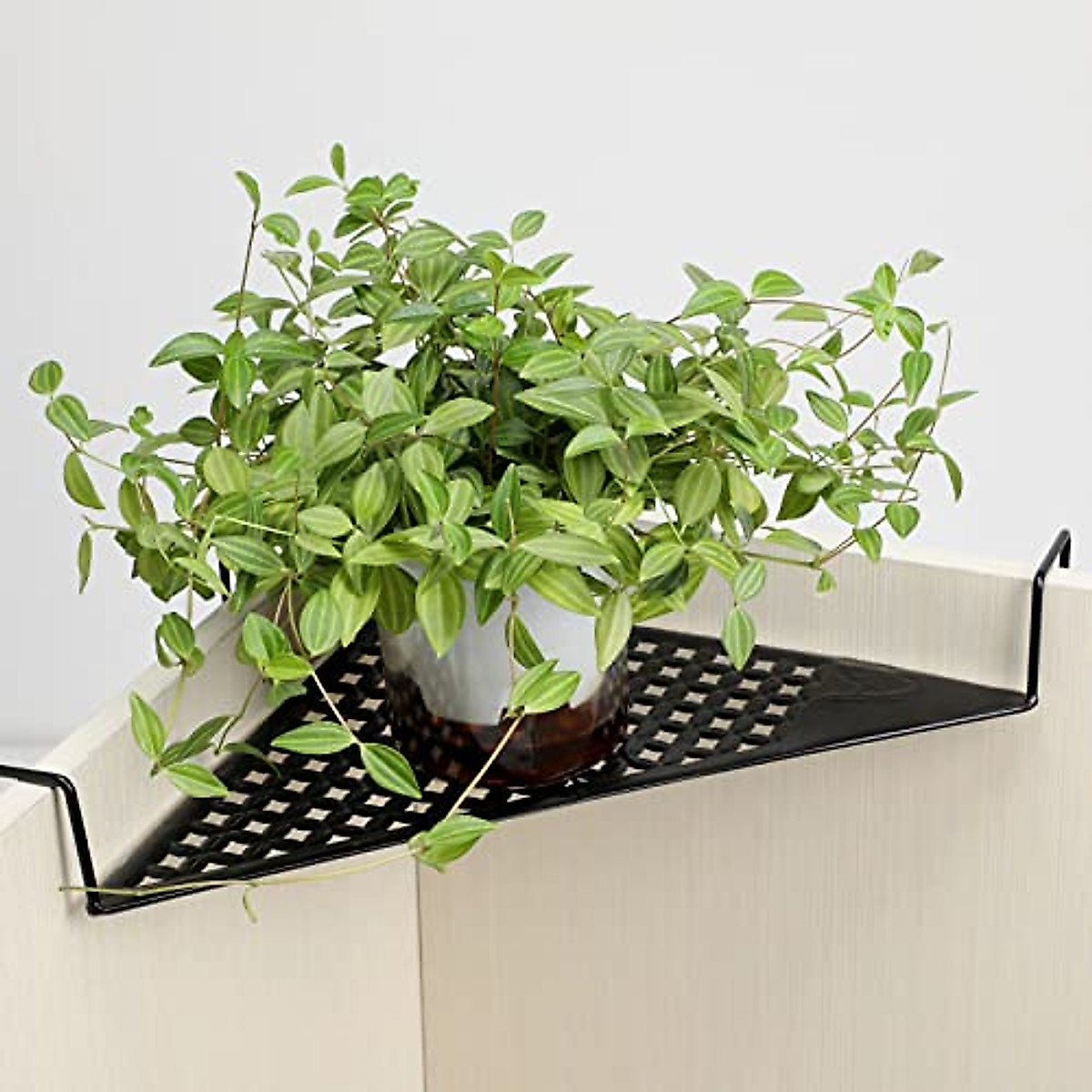 Lounsweer 2 Pcs Office Cubicle Shelf Black Corner Floating Shelves Cubicle Hanging Shelf Mesh Iron Corner Organizer Storage Rack Holder for Succulents Flower Pot Office Decor