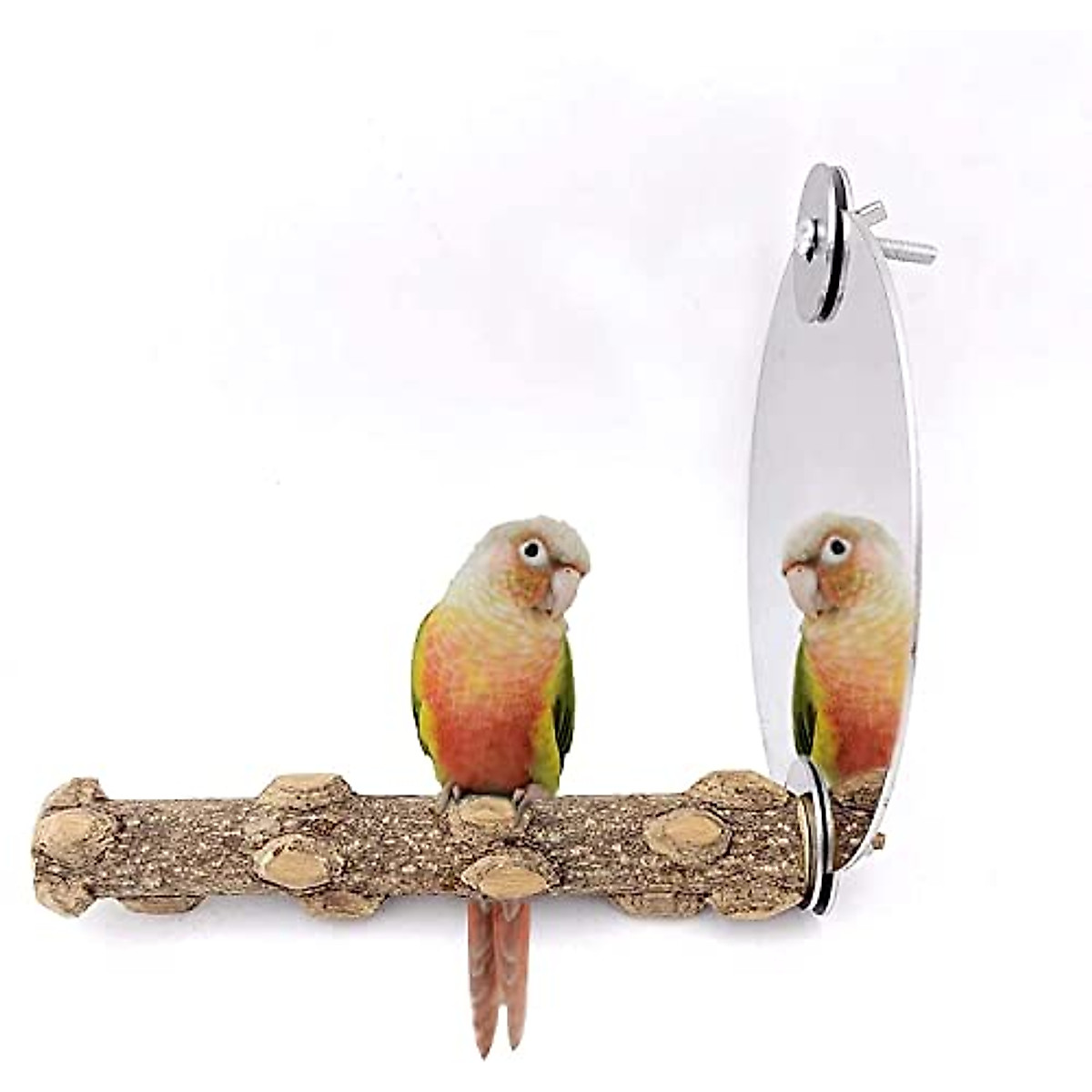 Bird Mirror with Perch Cockatiel Conure Parrot Mirror Toys Cage Perch Chewing Toys Feet Grinding Toys for Amazon Greys