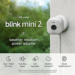 Blink Mini 2 (Newest Model) + Weather Resistant Adapter — Indoor/Outdoor Home Security & Pet Camera(s) with HD video, motion detection, and built-in spotlight — 2 cameras (White)