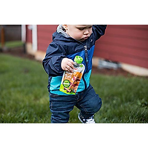 Sprout Organic Baby Food Pouches Stage 3 Plant Powered Protein, Pumpkin Apple Red Lentil w/ Cinnamon, 4 Oz (Pack of 12)