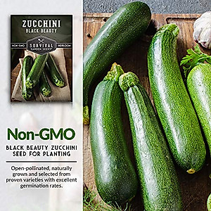 Survival Garden Seeds - Black Beauty Zucchini Seed for Planting - Pack with Instructions to Plant and Grow Dark Green Zucchini in Your Home Vegetable Garden - Non-GMO Heirloom Variety - 1 Pack