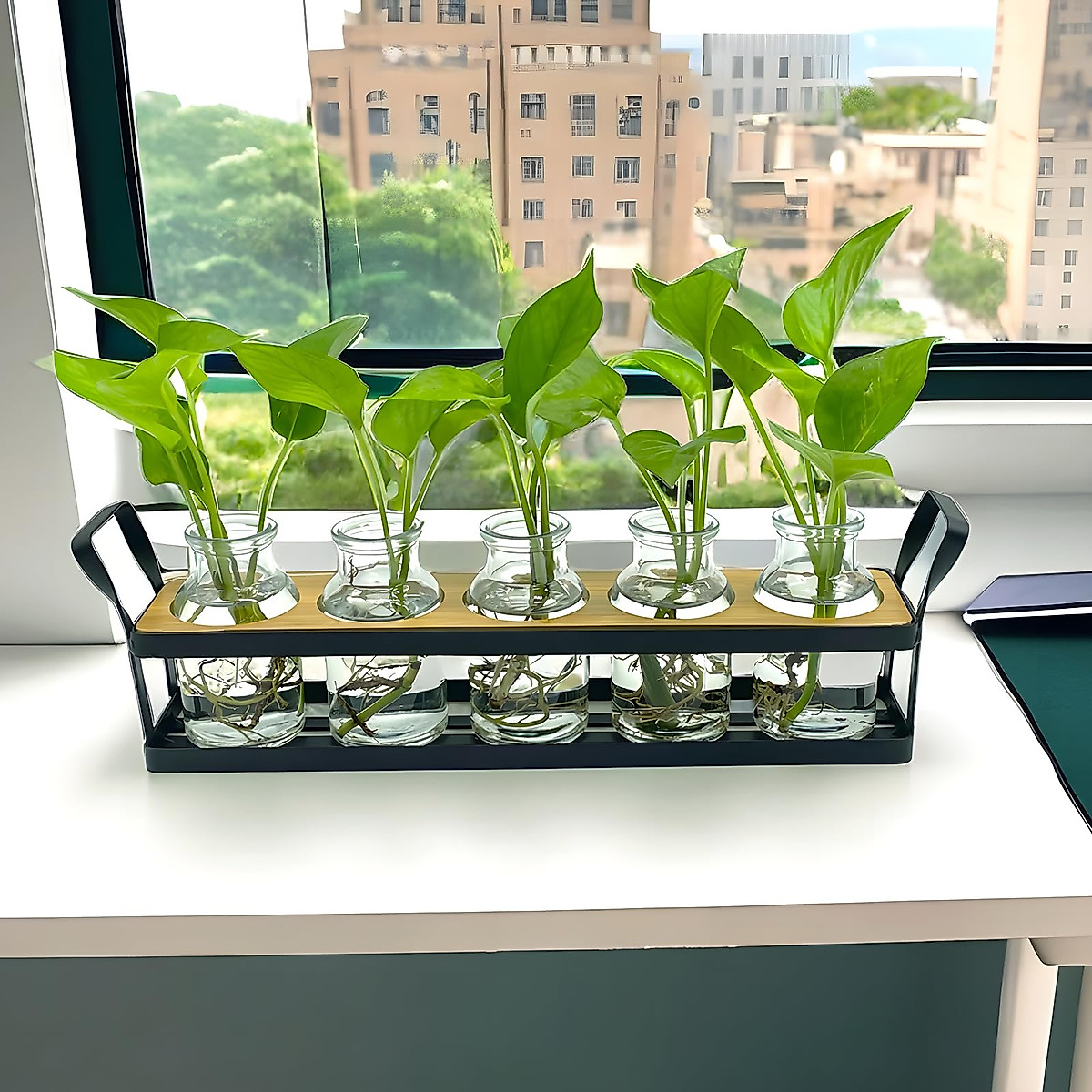 Quuavio Plant Propagation Stations with Metal Stand, Desktop Plant Terrarium with 5 Air Propogation Jars, Flower Glass Vasefor Hydroponic, Home Garden Window Office Decor, Plants Gifts