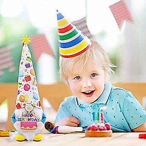 Birthday Gnomes Farmhouse Happy Birthday Tomte Plush Birthday Gifts Handmade Scandinavian Party Hat Nisse Home Ornaments Elf Dwarf Collections Kitchen Tiered Tray Decorations