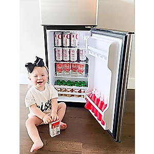 Anukis Compact Refrigerator 4.0 Cu Ft 2 Door Mini Fridge with Freezer For Apartment, Dorm, Office, Family, Basement, Garage, Silver