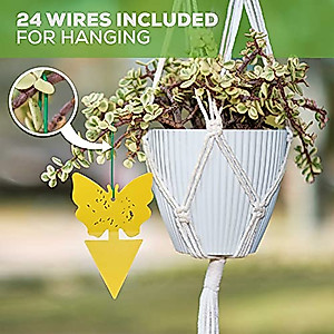 Fruit Fly Gnat Killer Traps Indoor Outdoor for House Plants 32 Pack - Sticky Yellow Catcher Trap - Fruit Fly, Fungus Gnats, Mosquito, Flying Insect Bug Pest, White Flies, Home Kitchen