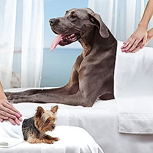 Fromm Gold Nutritionals Senior Dry Dog Food, 5-Pound Bag