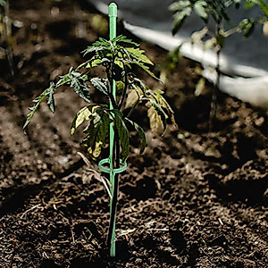 12 Inch Plant Support Stakes, with Adjustable Retaining Ring Green Plant Sticks Support Stakes for Indoor and Outdoor Plants,Flowers,Climbing(10Pcs)