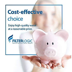 Filterlogic FXHSC 10" x 4.5" Whole House Pleated Sediment Filter, Replacement for GE FXHSC, Culligan R50-BBSA, Pentek R50-BB, DuPont WFHDC3001, American Plumber W50PEHD, GXWH40L, Pack of 2