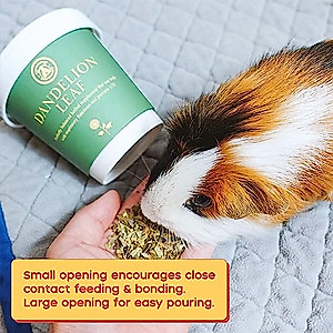 GuineaDad Organic Guinea Pig Herbal Treats - Guinea Pig Food with Convenient Packaging Dandelion Leaf Flavor 1.3-oz - Guinea Pig Treats Help with Bonding High in Nutrition, Good for Digestion Small