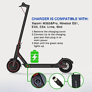 42V Charger for Segway Ninebot Electric Scooter,YZPOWER 36V Lithium Battery Charger Universal for M365 pro/pro2,Bird, Lime, Lime-S, Spin, Skip