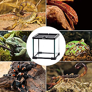 ReptiZoo Mini Reptile Glass Terrarium Tank Full View Visually Appealing Mini Reptile Glass Habitat Cage 8" x 8"x 8"