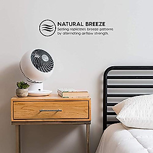 Woozoo 5-speed Globe Fan 5 Year Warranty 1Count