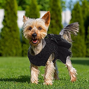 QBLEEV Dog Dress, Dog Wedding Dress for Small Dogs, Bowknot Dog Wedding Attire Black Dog Dress Pet Dog Bride Costume Lace Tutu Skirt Halloween Dog Princess Dress Party Puppy Apparel Dog Formal Dress S