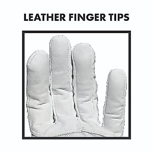 Team Golf NCAA Cal-Berkeley Cool Mesh with Cabretta Leather - One Size - Mens Left NCAA Cool Mesh with Cabretta Leather - One Size - Mens Left