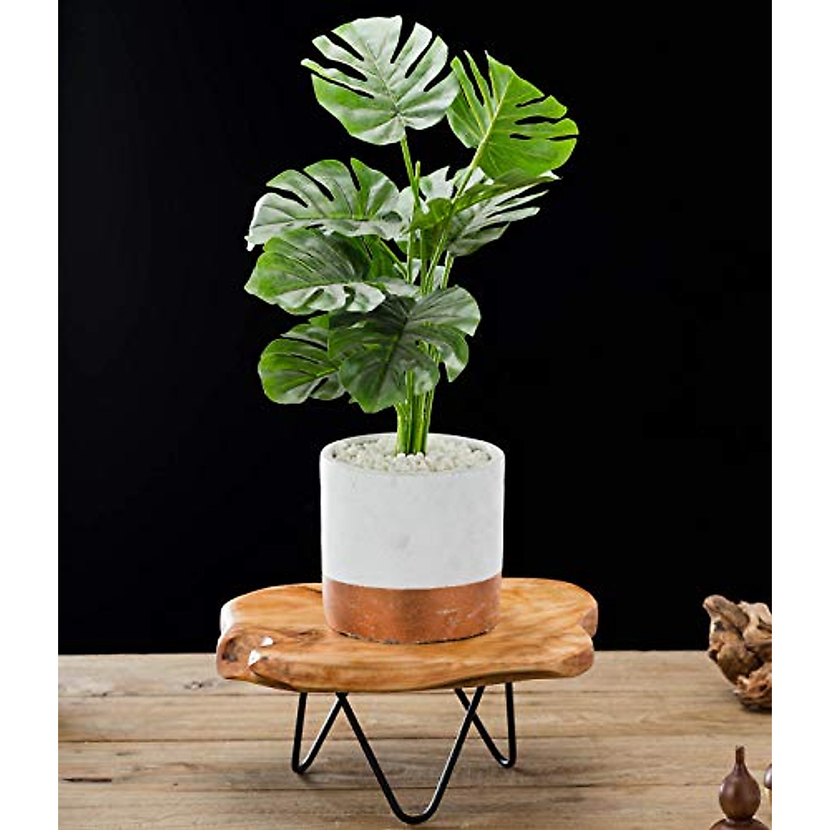 TJ Global Natural Edge Wooden Stand with Hairpin Legs for Displaying Cakes, Plants, Candles, Decor (L9 x W8.5 x H4)