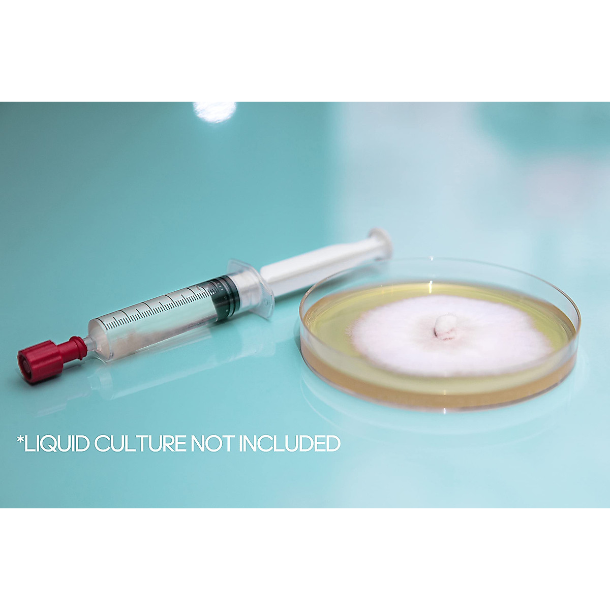 Olympus Myco Malt Yeast Extract Agar Plates (MYA) - 10 Sterile Prepoured Petri Dishes for Mushroom Cultivation & Science Projects - Now with Improved Packaging