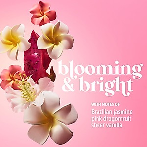 Sol de Janeiro Collagen Boosting Beija Flor Elasti-Cream Body Cream 240mL/8.1 oz.