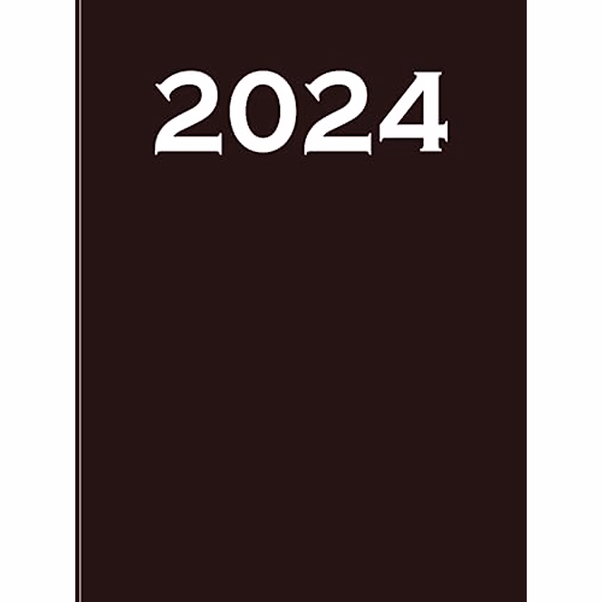 2024: Large Daily Planner with One Page Per Day for January to December 2024 : Daily and Monthly Planning