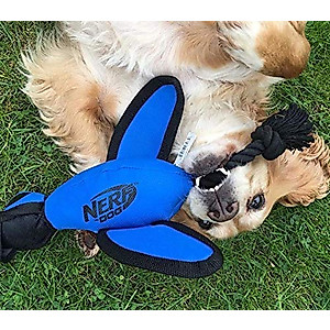 Nerf Dog Large Nylon Launching Duck with Interactive Design, Blue (3473), for All Breed Sizes