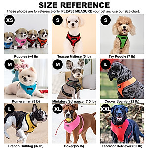 Authentic Puppia Soft Dog Harness, Red - Medium