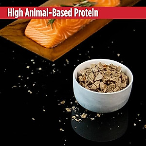 Nulo Freestyle Cat and Kitten Minced Wet Canned Food, Premium All Natural Grain-Free Shredded Wet Cat Food, Protein-Rich with Omega 6 and 3 Fatty Acids to Support Skin Health and Soft Fur